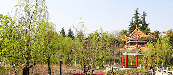 SWUPL Southwest University of Political Science and Law